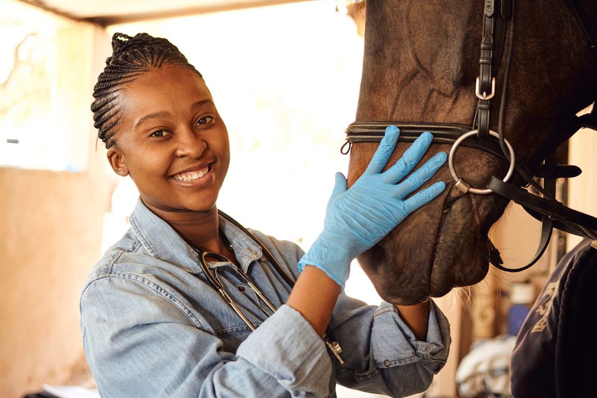 Your Wellness - Alliance Animal Health