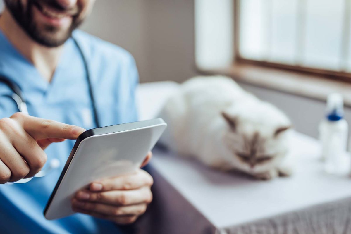Your Development - Alliance Animal Health