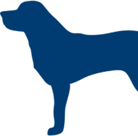 About Us - Alliance Animal Health