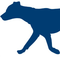Home - Alliance Animal Health