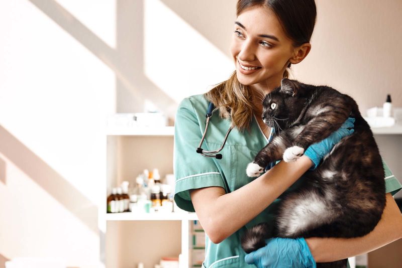 Why Partner - Alliance Animal Health