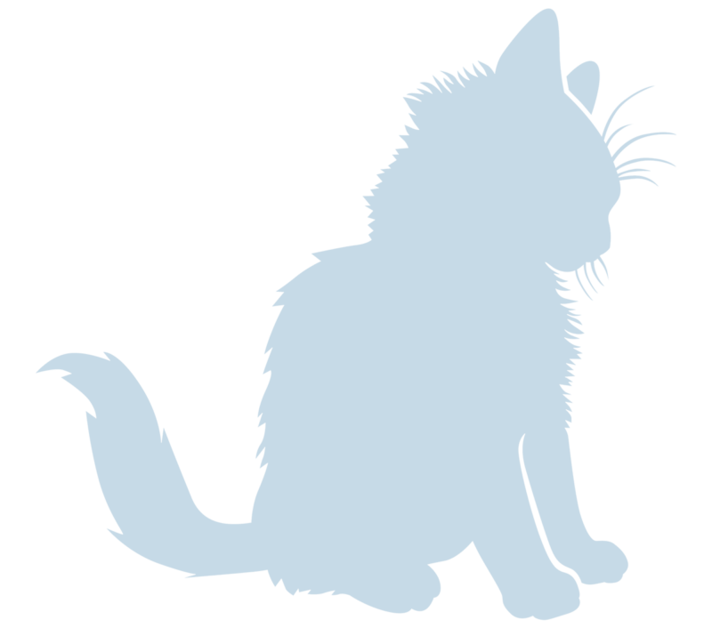 Careers - Alliance Animal Health