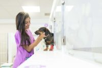 Careers - Alliance Animal Health