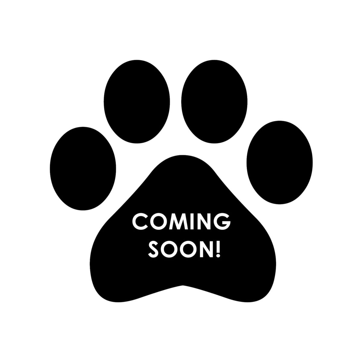 Roger Zinn - Alliance Animal Health