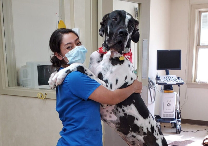 200 partner practices - Alliance Animal Health